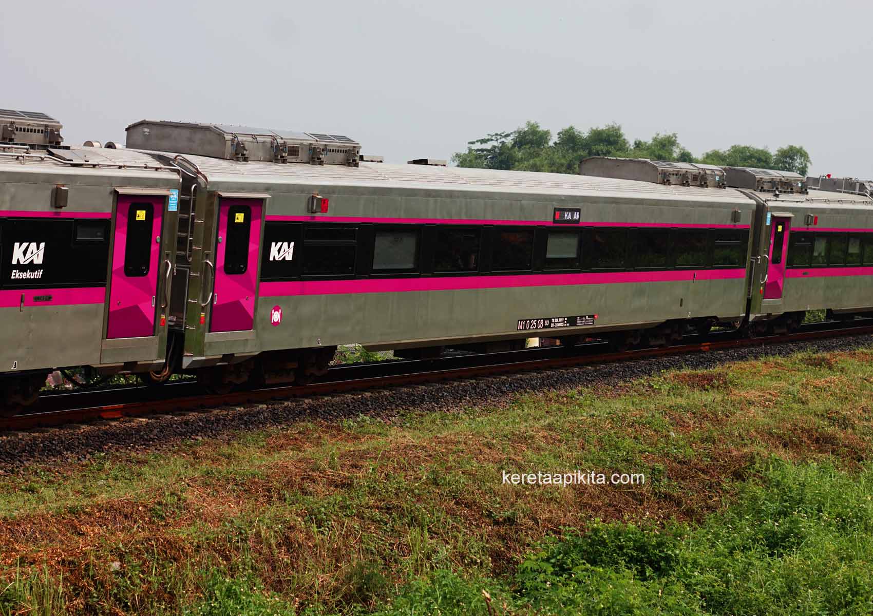 KA Argo Wilis Eksekutif Stainless Steel New Generation - Kereta Api Kita
